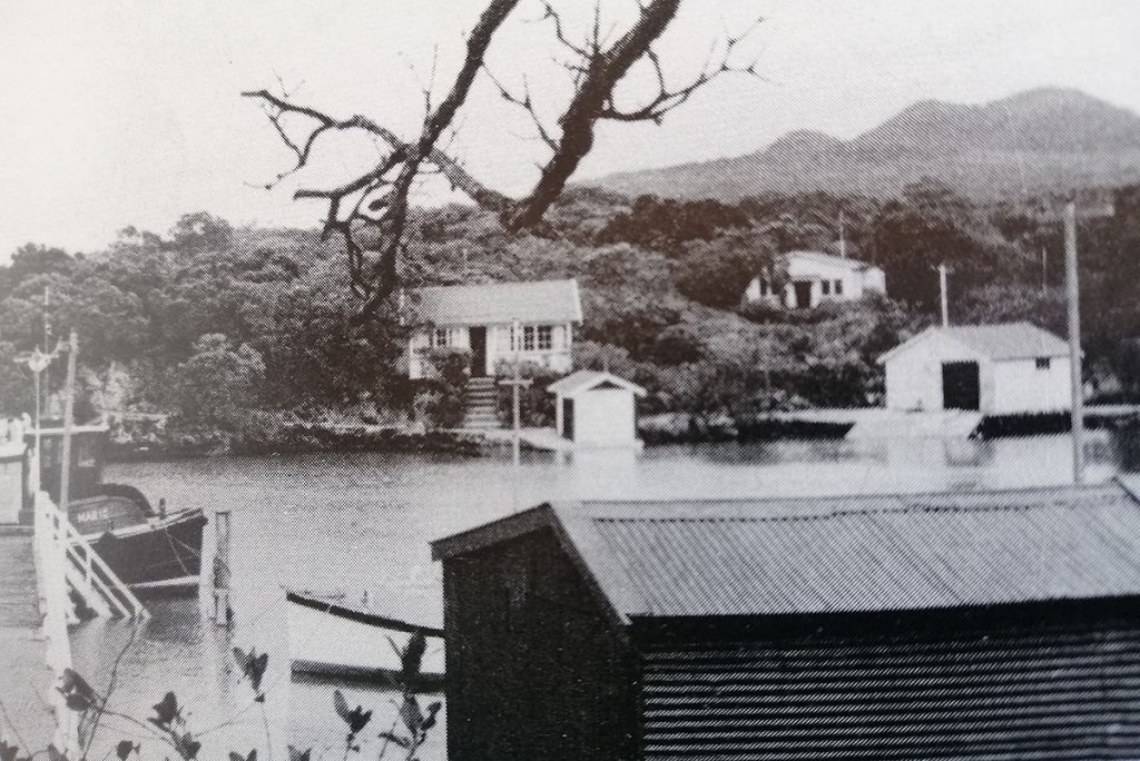 Overnight Rangitoto - Rangitoto Island Historic Conservation Trust